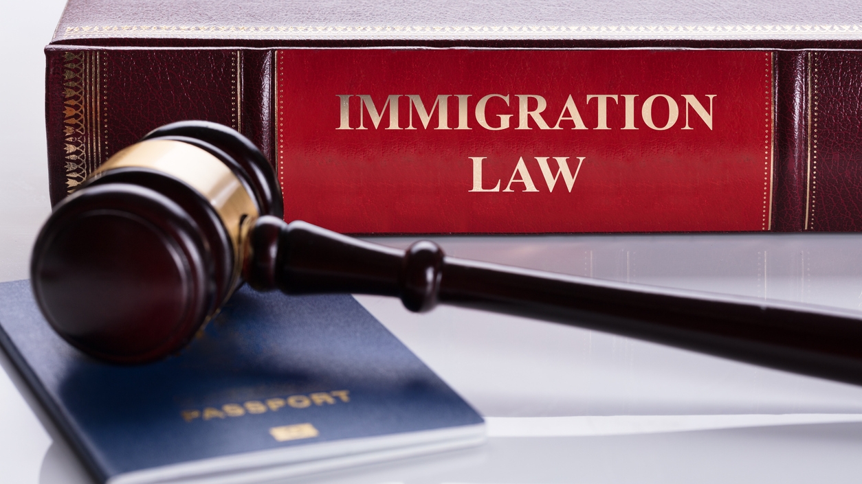 What is the Difference Between Dismissed and Terminated Removal ...